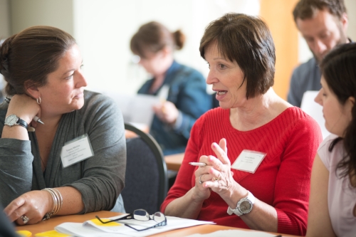 “Lesson study” for teaching development