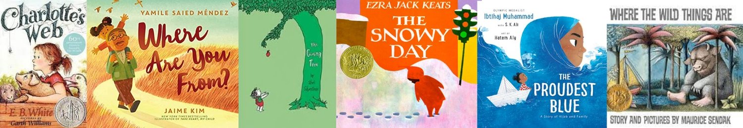 Affirming & empowering representation in literature for students