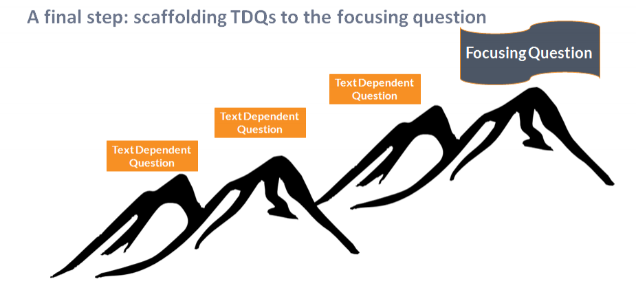 Focus questions